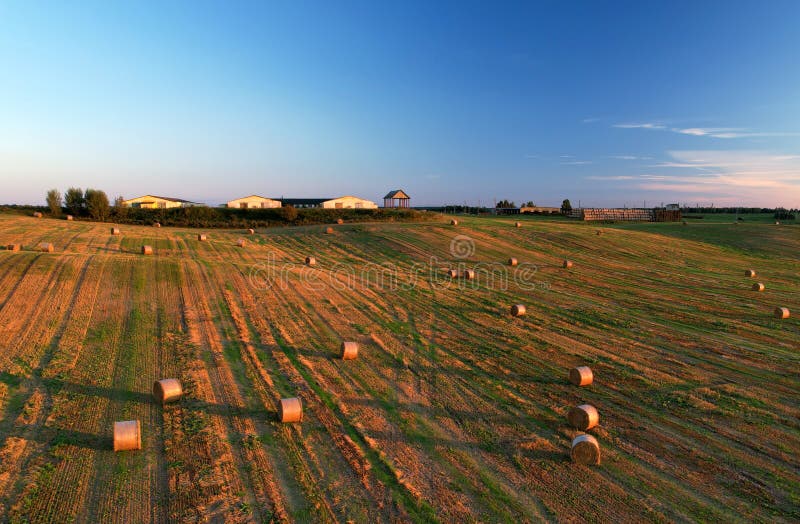 Haystack on Field on Sunset Sky. Hay Bale from Residues Grass. Hay ...