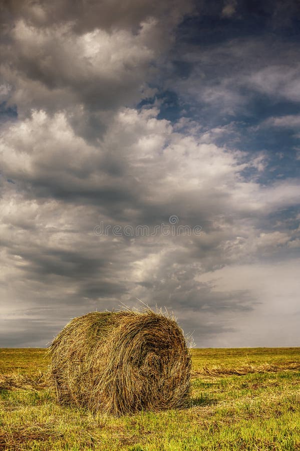Haystack in field stock image. Image of haystack, natural - 42746381