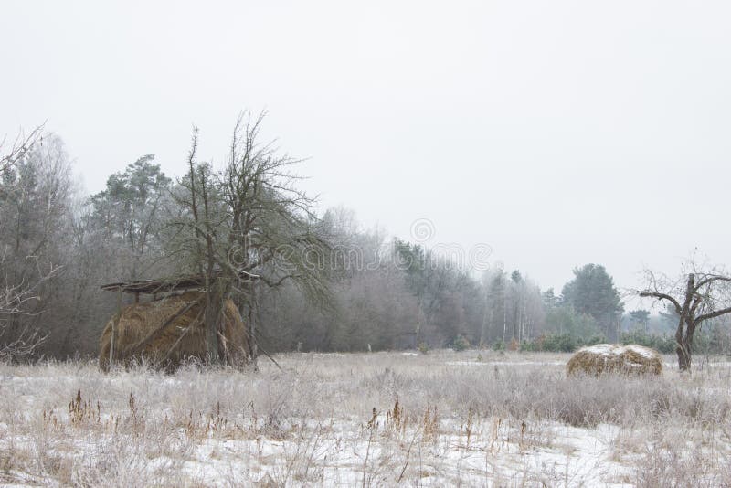 Haystack on the Field during the Winter. Winter Sadness Stock Photo ...