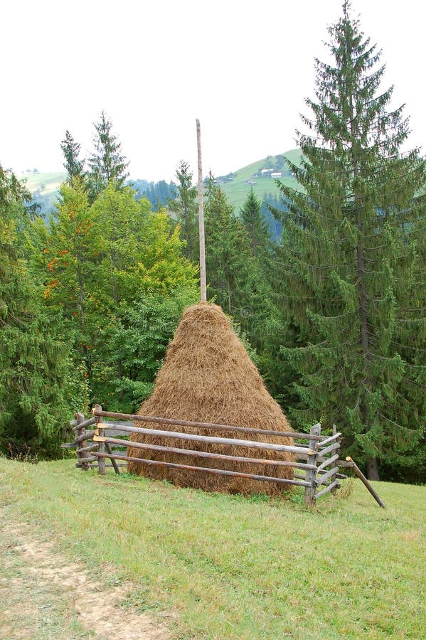 Haystack and fir tree stock photo. Image of haymow, nature - 109181662