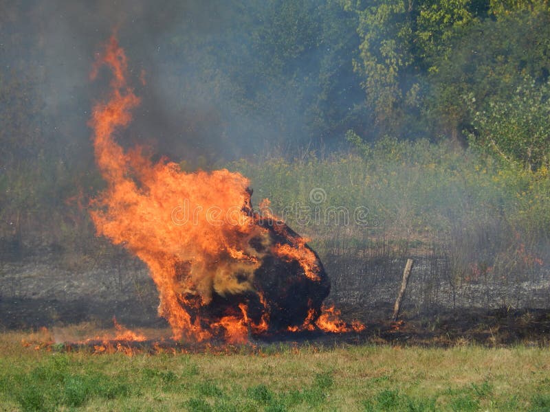 Haystack in Fire in a Hot Summer Day Stock Image - Image of grass, wild ...