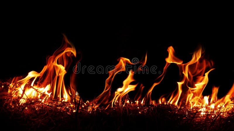 Free Abstract (Danger) pictures, photos & images - Royalty-Free and ...