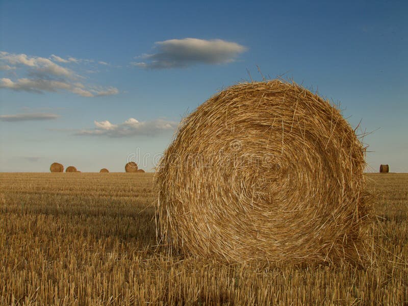 Haystack france stock photo. Image of cropland, field, haystack - 151396