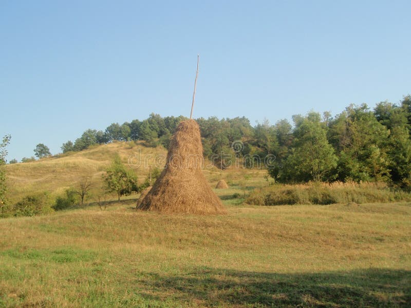 Haystack stock image. Image of hayrick, farm, haystack - 42425933