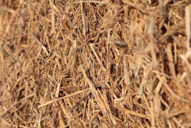 Haystack stock photo. Image of grass, wheat, close, fall - 43811932