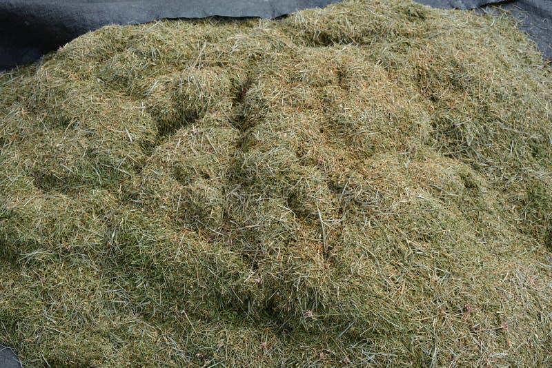 Haystack stock photo. Image of yellow, crop, golden, autumn - 94156576