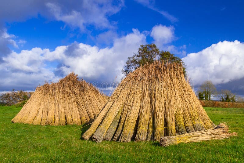Haystack on the Grass Field Stock Image - Image of clare, growth: 109575675