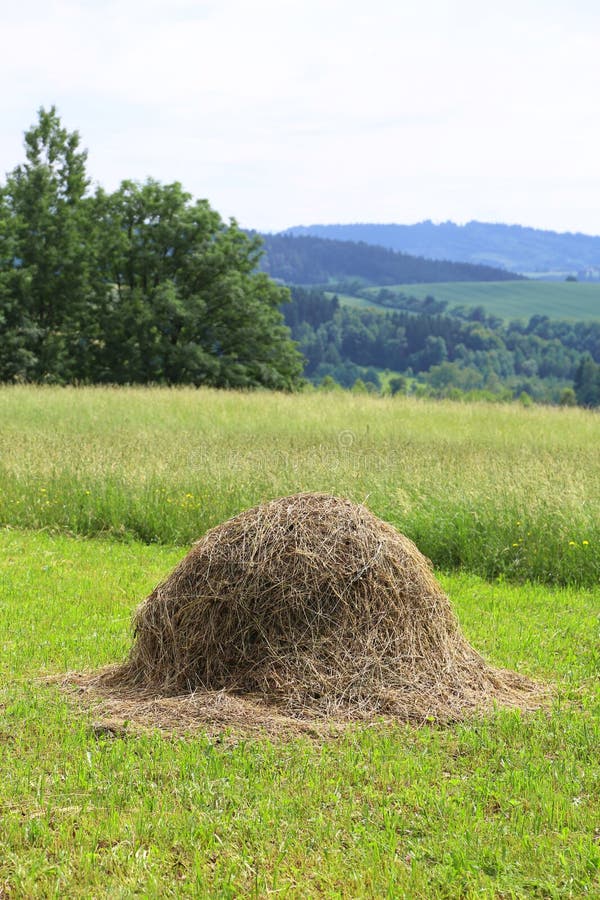 Haystack on the Grass Field and Rural Landscape Stock Image - Image of ...