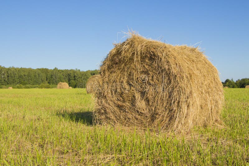 Haystack stock image. Image of crop, outdoor, farming - 57436059