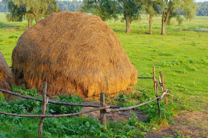 Haystack on a Green Meadow. Stock Image - Image of haystack, fresh ...