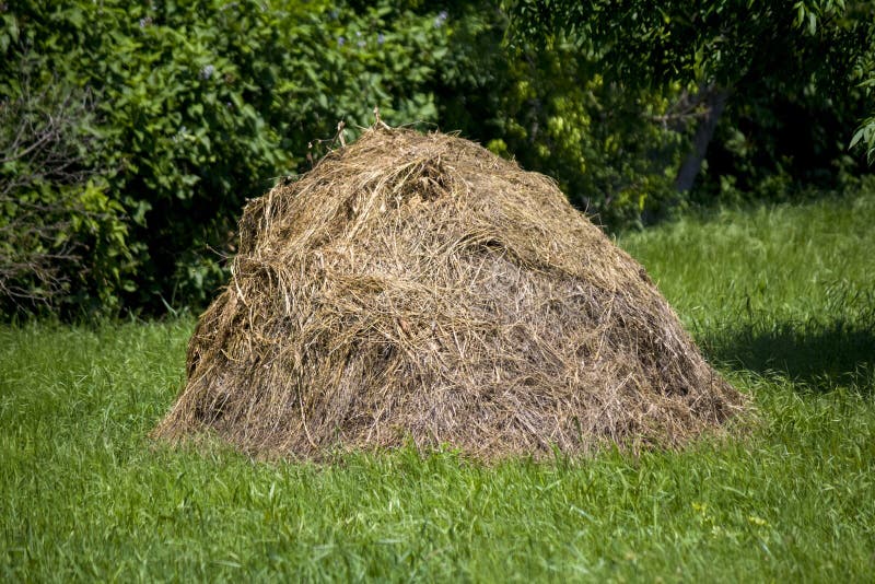 Haystack on a Green Meadow. Stock Image - Image of haystack, fresh ...