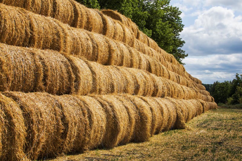 Haystack Harvest Agriculture Farm Field. Haystack Rock on Agricultural ...