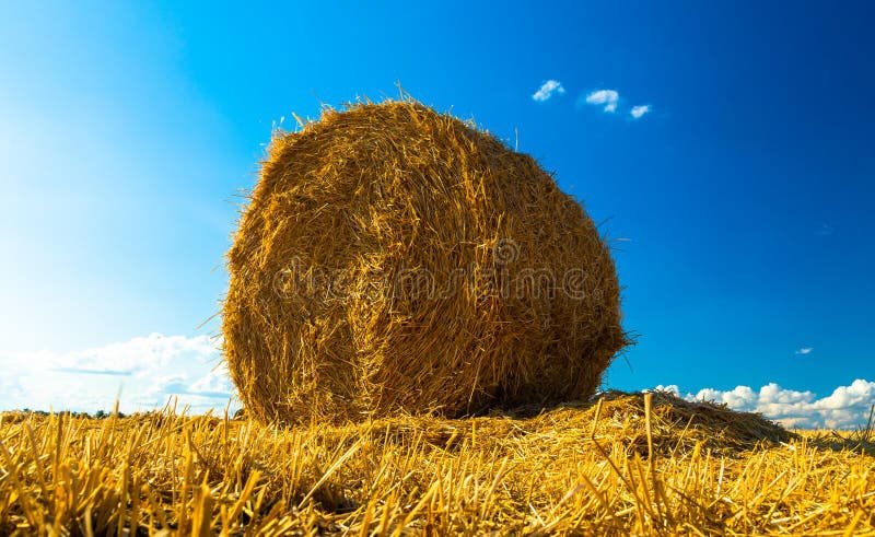 Haystack Harvest Spring Field Landscape. Haystack Agriculture Field ...