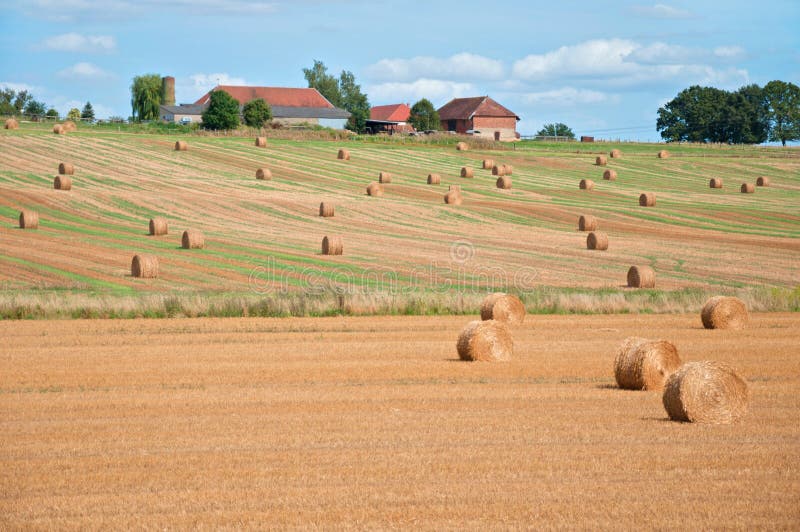 Haystack stock photo. Image of land, gold, organic, green - 40139548