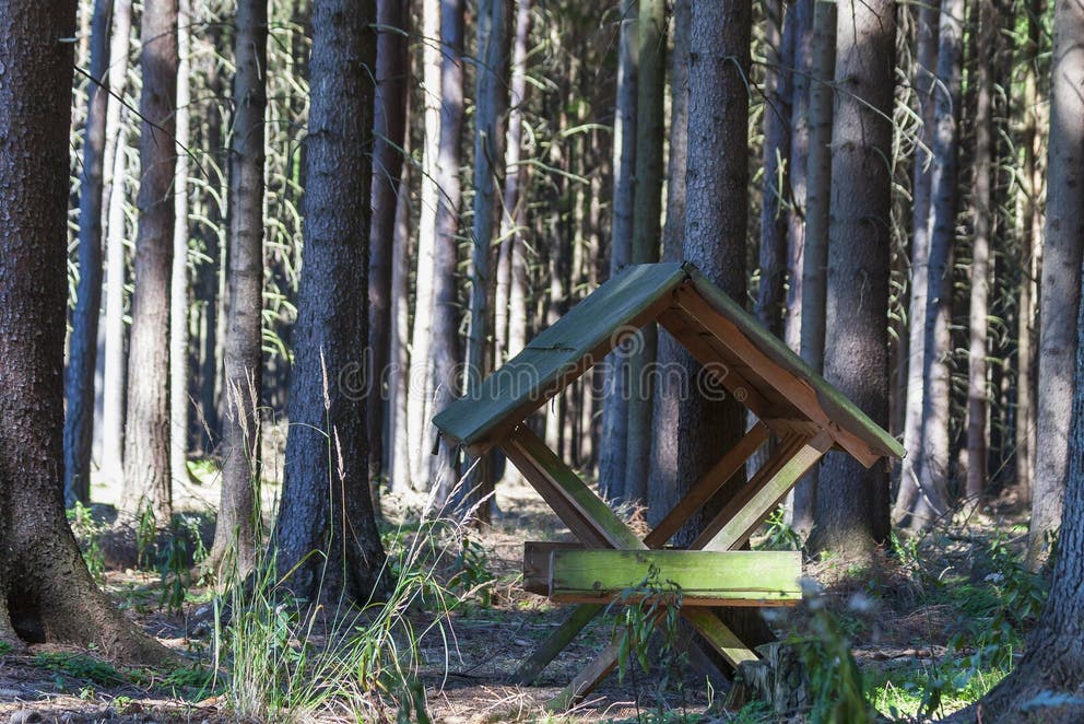 Haystack on Hay for Forest Animals in Forest among Trees Stock Photo ...