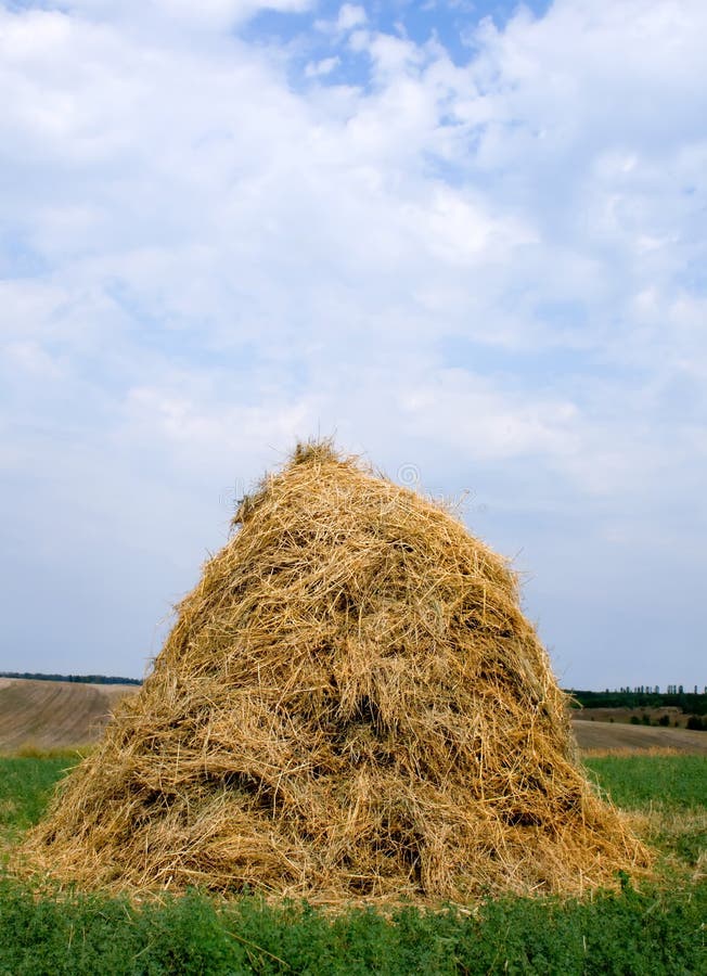 Haystack hay straw stock image. Image of bale, gold, meadow - 6343035