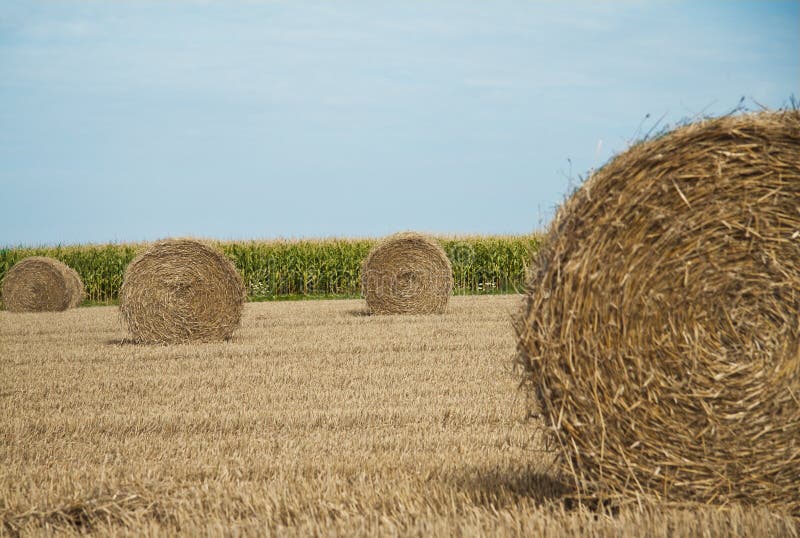 Haystack or hayrick stock photo. Image of bread, farmer - 15932888