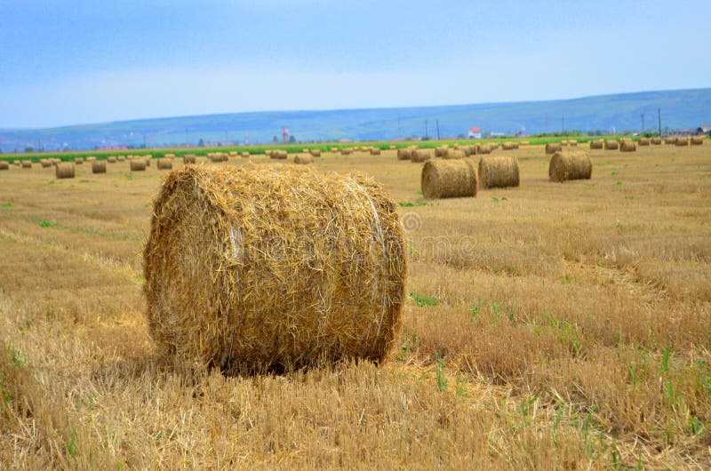 Haystack stock image. Image of culture, economy, evening - 58386897