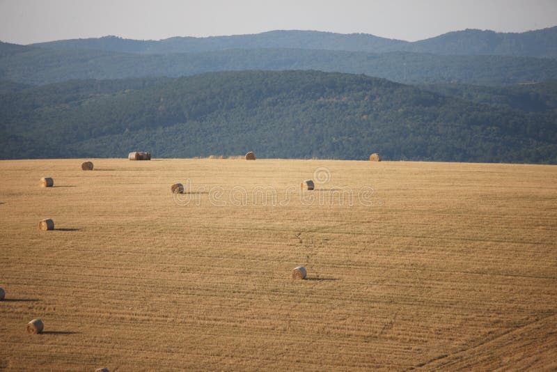 Haystack landscape stock photo. Image of haystack, hill - 66167520