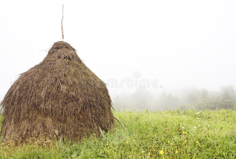 Haystack on Misty Morning Mountainside Stock Image - Image of flowers ...