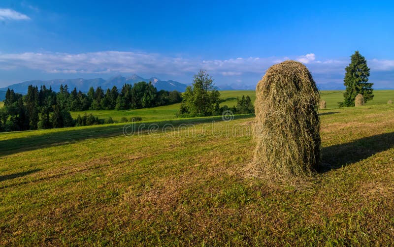 Podhale Hay Stock Photos - Free & Royalty-Free Stock Photos from Dreamstime