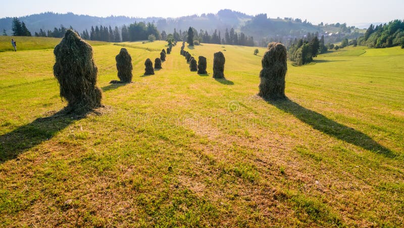 Haystack on a Mowed Meadow. Haymaking in Podhale Stock Image - Image of ...