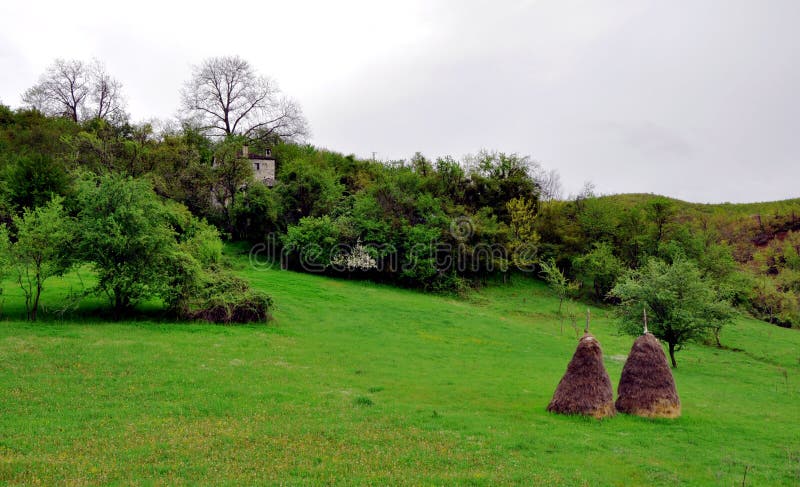 Haystack in nature stock photo. Image of crop, farm, landscape - 63789822