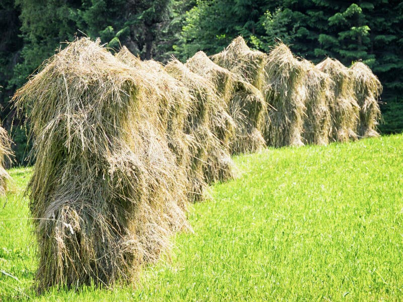 Old-Fashioned Haystack stock photo. Image of north, historic - 2876