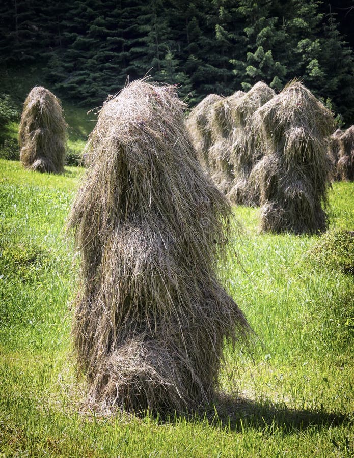 Old-Fashioned Haystack stock photo. Image of north, historic - 2876