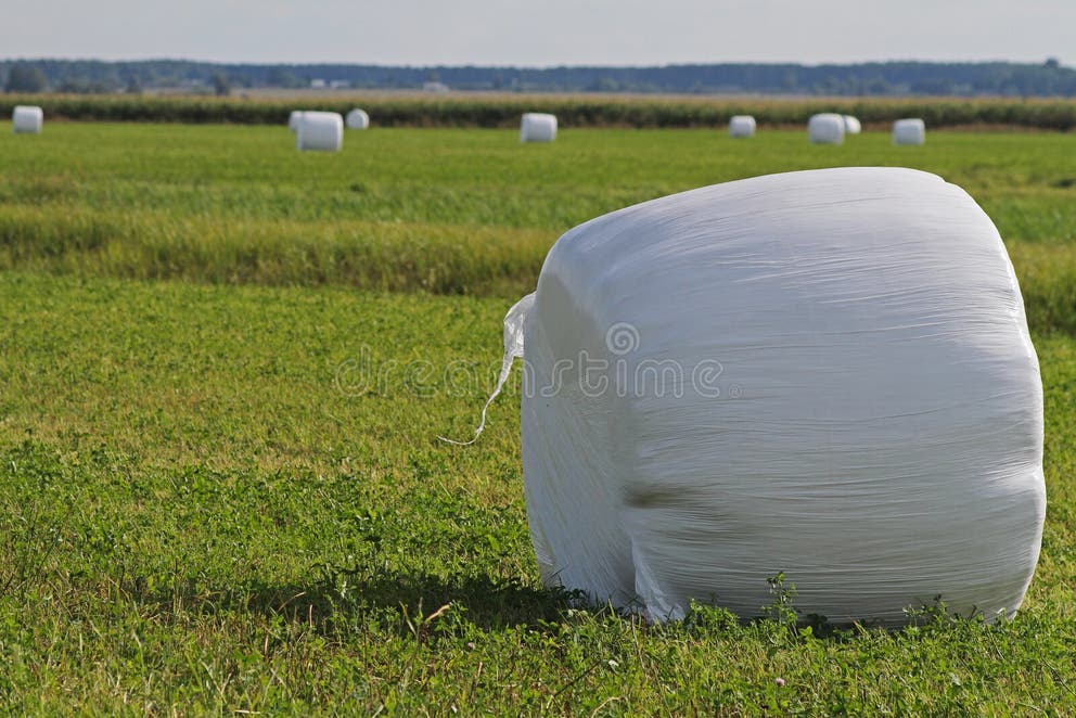 Haystack Packed in White Plastic Packaging Stock Photo - Image of ...