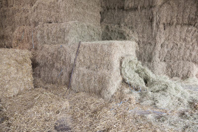Haystack and Pitch Fork on Farm Stock Photo - Image of crop, farm: 90282120