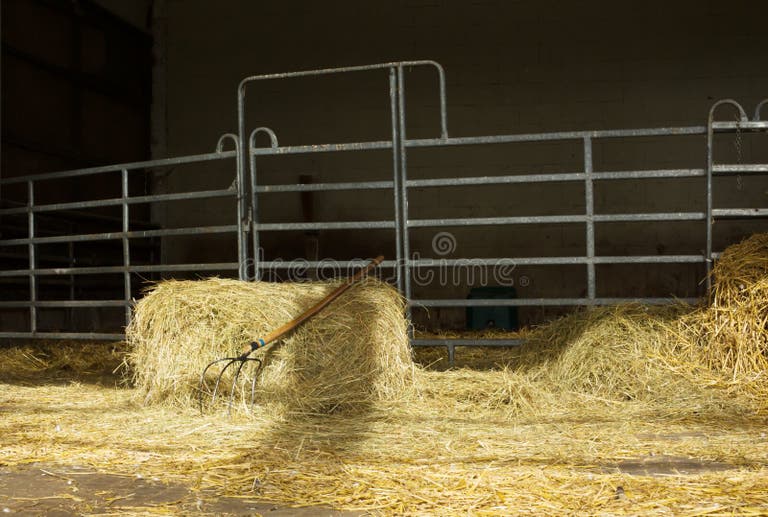 Haystack with Pitchfork Inside a Rustic Stable Barn Stock Image - Image ...