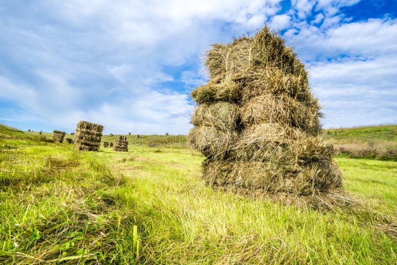 Haystack on the prairie stock photo. Image of haystack - 127655280