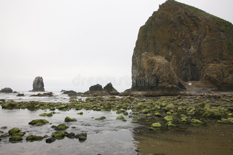 Haystack Rock at Cannon Beach with Mossy Rocks Stock Photo - Image of ...