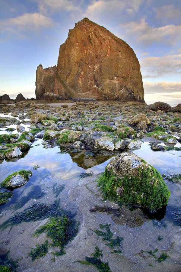 Haystack Rock. stock photo. Image of monolith, rock, coast - 80792