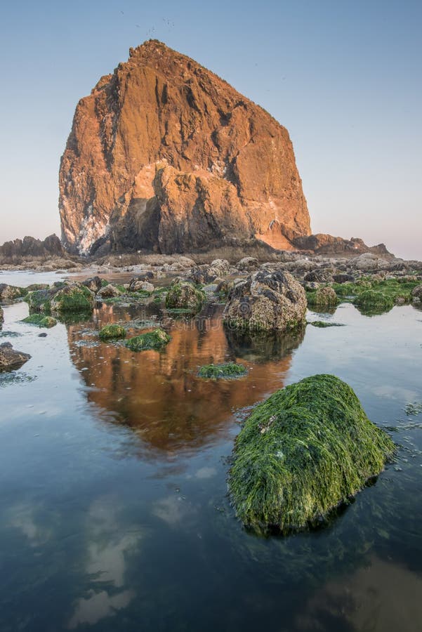 Haystack Rock Reflects in Shallow Tide Pool Stock Photo - Image of ...