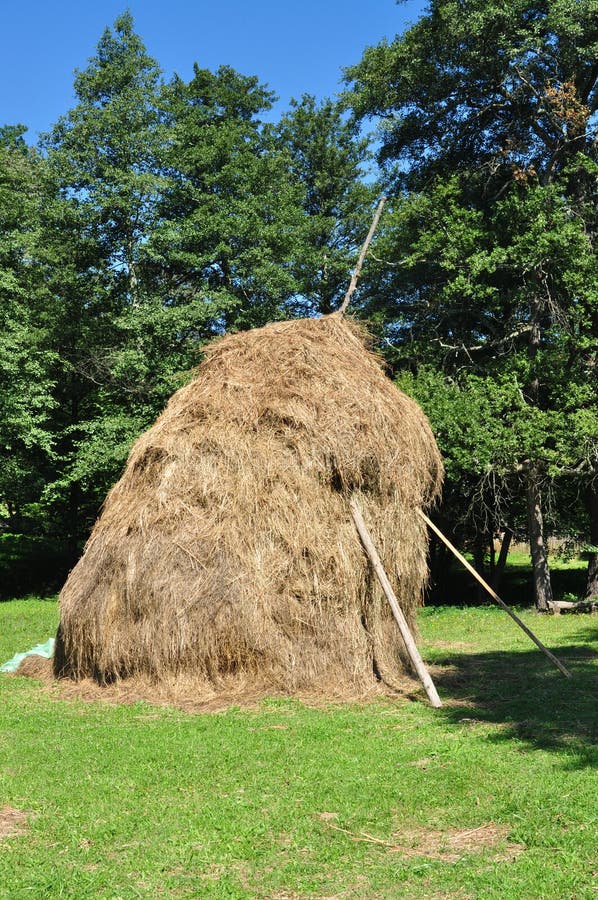 Haystack stock photo. Image of nature, plant, heap, cultivated - 43831662