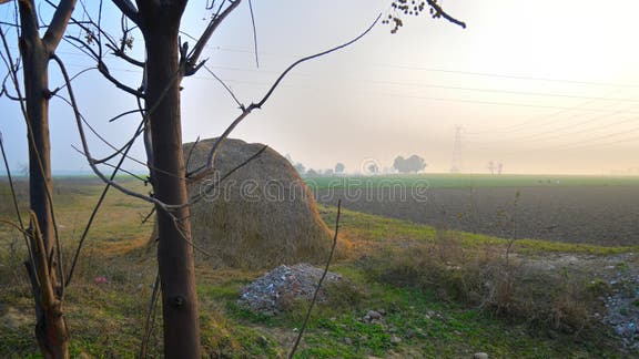 Haystack in a Rural Landscape, Surrounded by Open Fields and Sparse ...