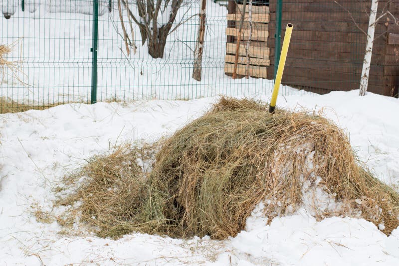 Haystack in the Snow in the Winter Stock Photo - Image of rural ...