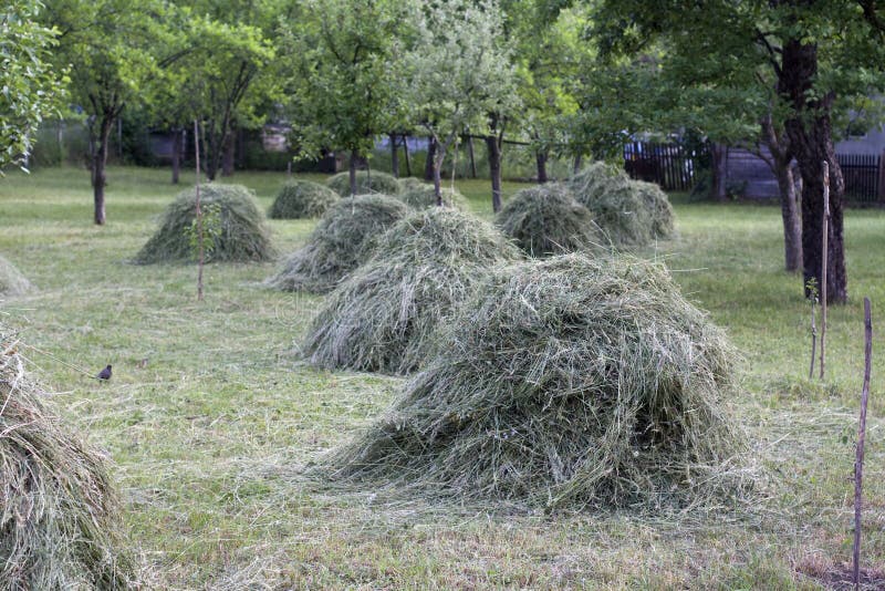 Night colors stock photo. Image of bubbles, outdoor, mauve - 41219648