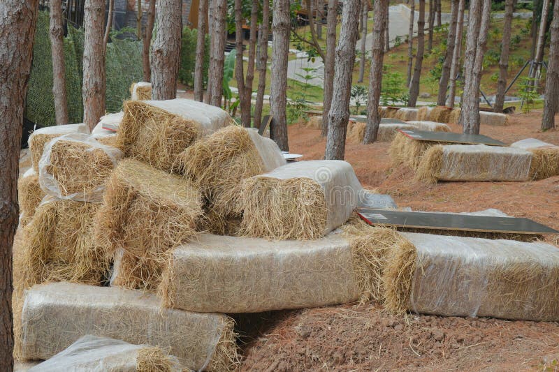 The haystack is stacked stock photo. Image of comfortable - 279220516
