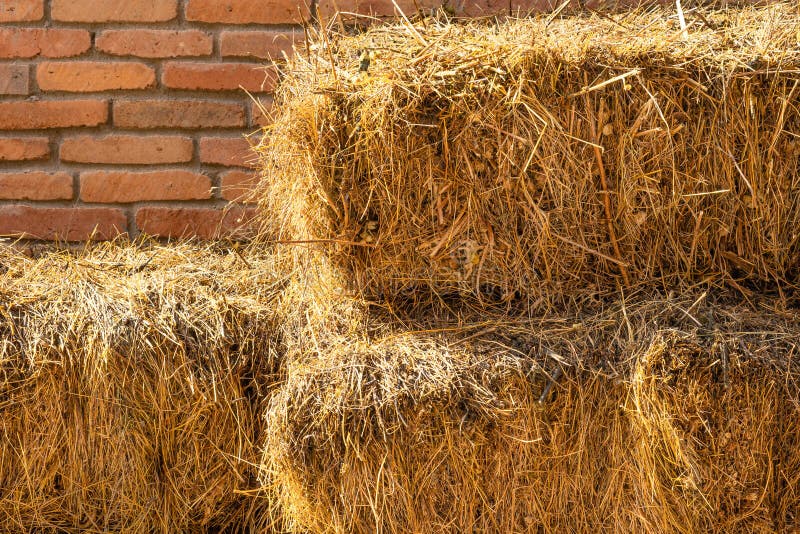 Haystack or Straw. Mowed Dry Grass (hay) in a Stack Against a Brick ...