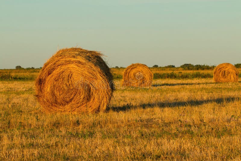 Haystack. stock image. Image of landscape, stack, harvest - 58349853