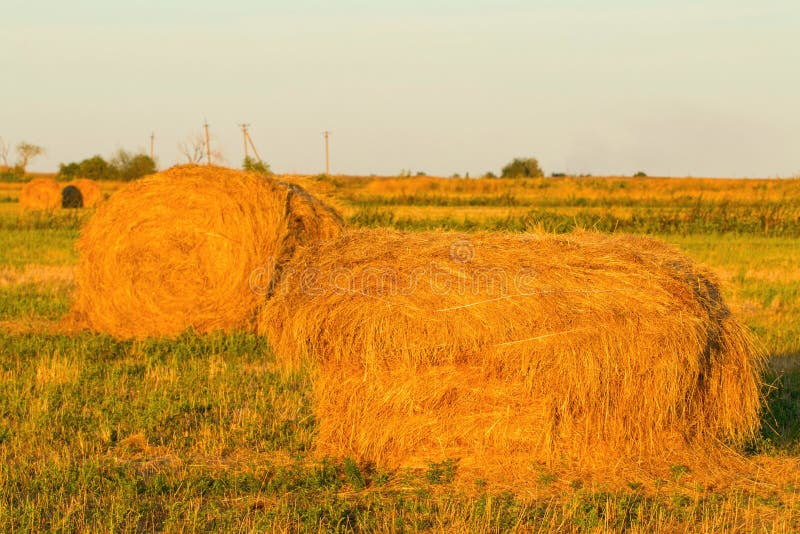 Haystack. stock photo. Image of land, harvesting, agricultural - 58349862