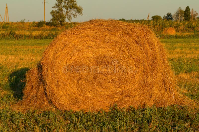 Haystack. stock photo. Image of bale, outdoor, farm, rural - 58797000