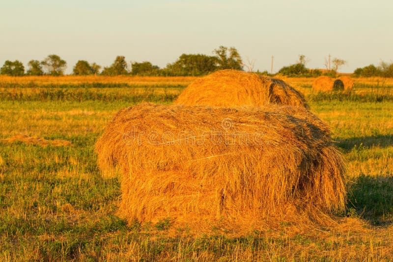Haystack. stock photo. Image of farmland, haystack, nature - 58797554