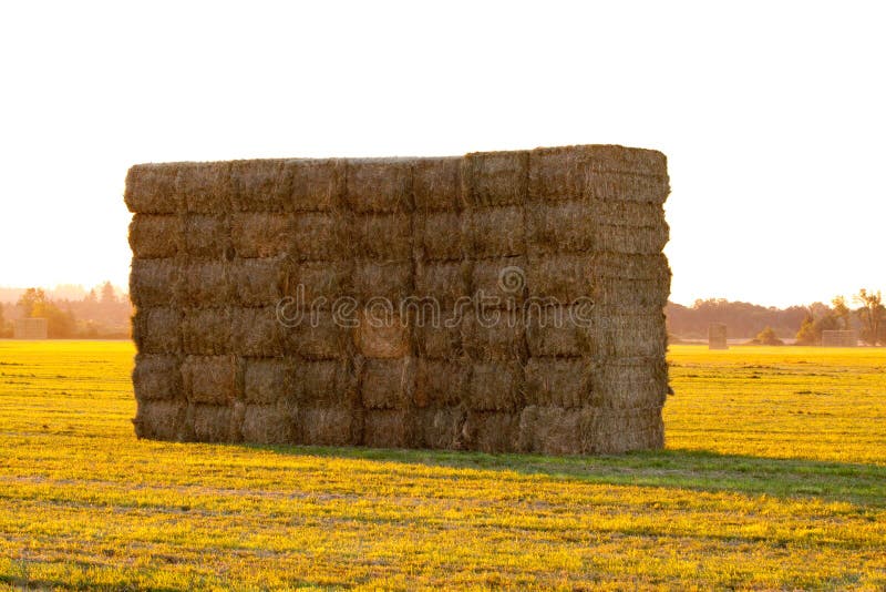 Haystack at Sunset stock photo. Image of silhouette, shape - 16299812