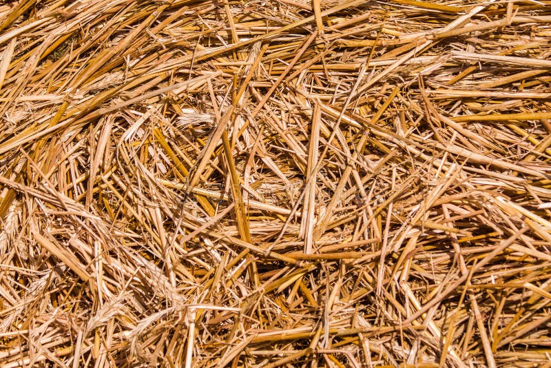 Haystack Texture Background Stock Image - Image of abstract, agri: 19674919