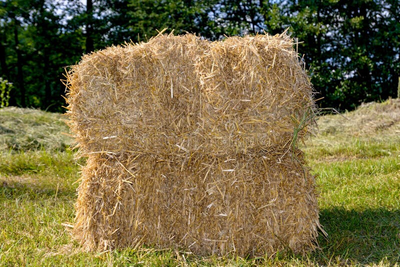 Haystack To Feed Cattle Rectangular Stock Photo - Image of agriculture ...
