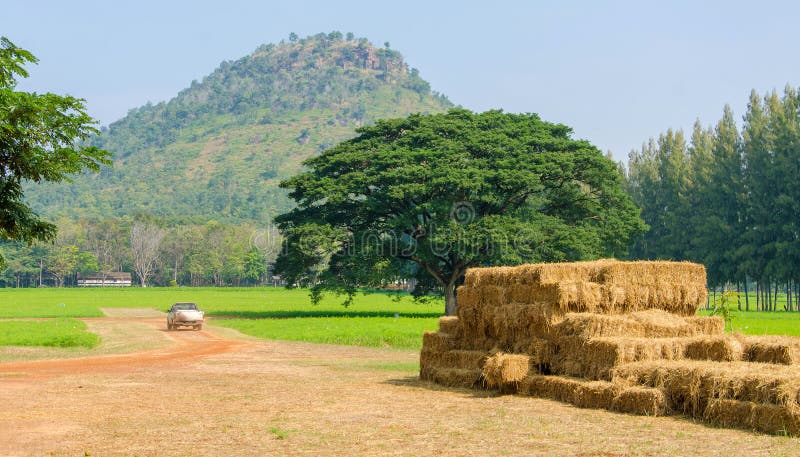 Haystack Trees Mountain, Beautiful Countryside Landscape Stock Photo ...